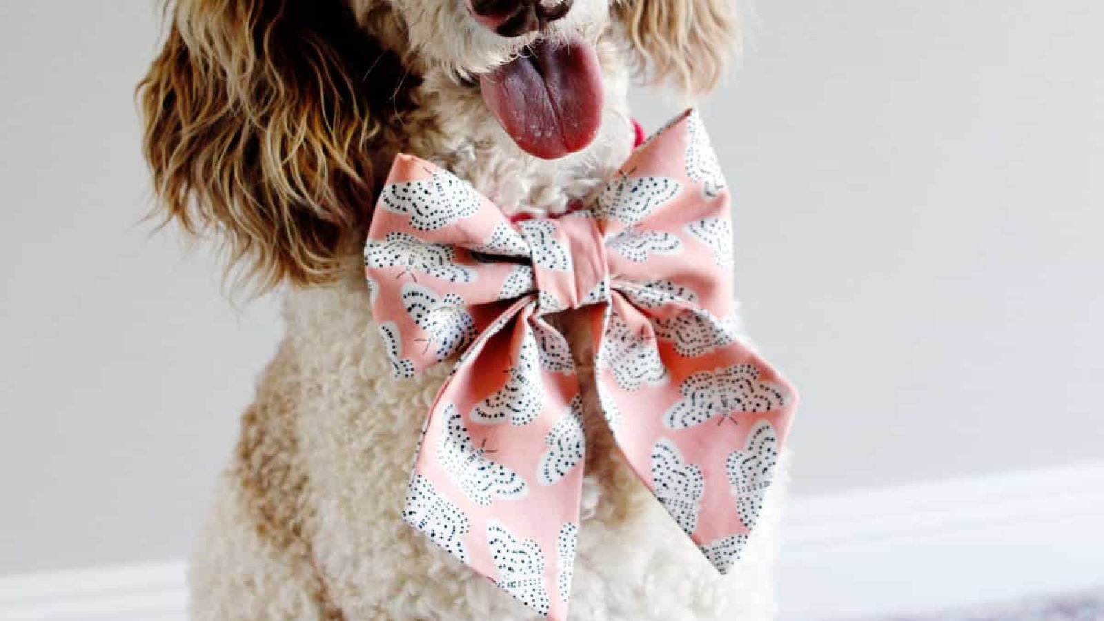25 Dog-Worthy Sewing Patterns - Treat Your Best Friend
